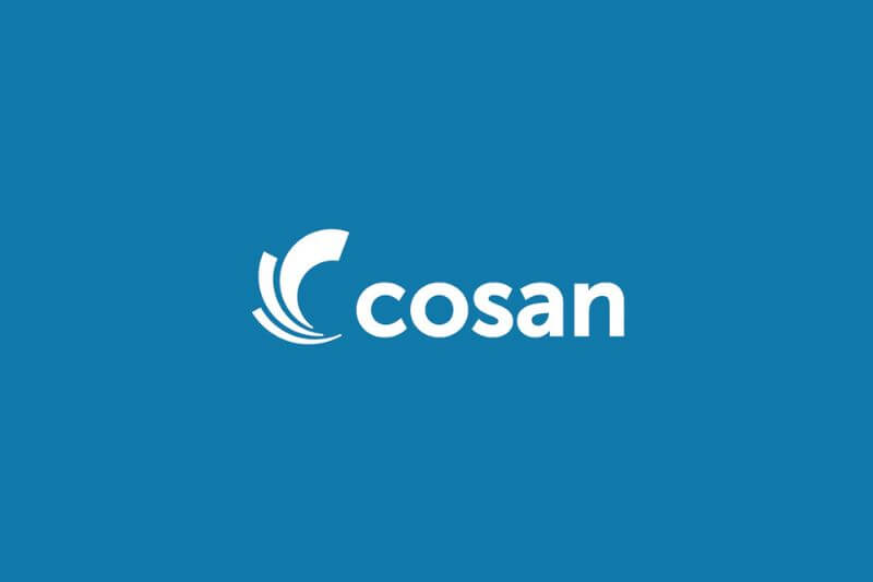 Ações da Cosan (CSAN3): Ainda está bom para investir?
