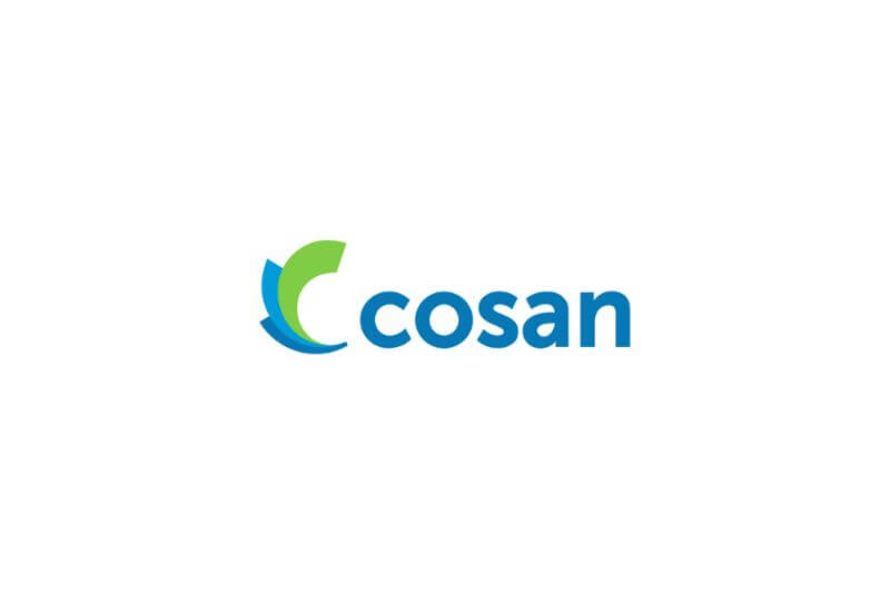 Ações da Cosan (CSAN3): Ainda está bom para investir?